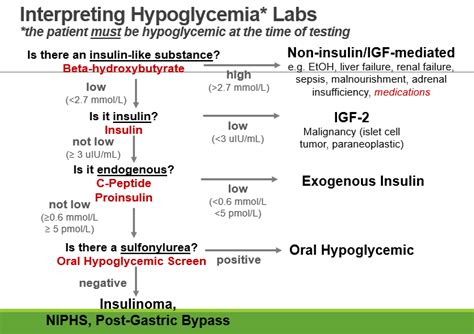 Hypoglycemia Treatment Algorithm