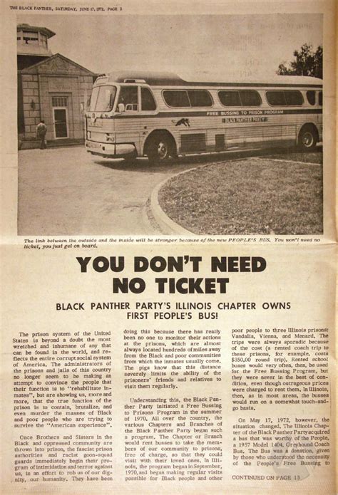 All Power To The People • The Triibe