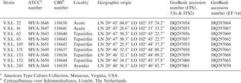 Trichoderma Longibrachiatum Strains Isolated From The Rhizosphere Of Download Scientific