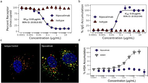 Nipocalimab An Immunoselective Fcrn Blocker That Lowers Igg And Has