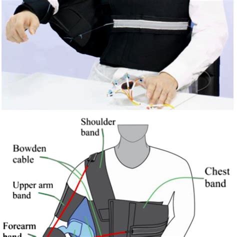 Upper Limb Exoskeleton Able And Its Arm Segment Representation With