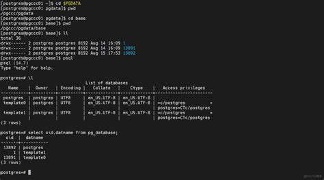 Postgresql 基础知识集簇、数据库、表小宝大人的技术博客51cto博客