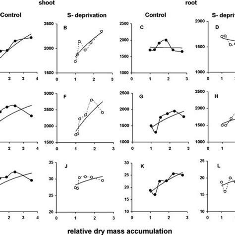 The Values Of The Allometric Functions Scaling Factor B T And Download Table