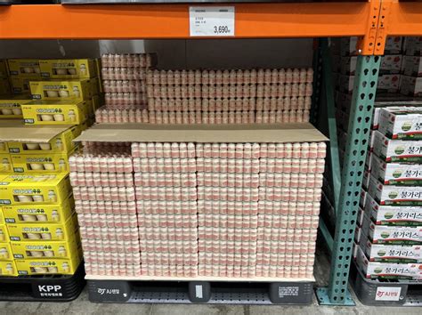 코스트코 에포카 요구르트 가격 정리 코스트컴
