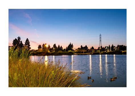 Watts Ca Last Night 1026 Rlosangeles