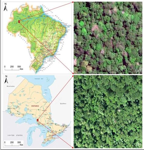 Figure 1 From A New Individual Tree Crown Delineation Method For High Resolution Multispectral