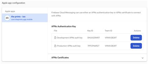 Firebase Error Auth Error From Apns Or Web Push Service Stack Overflow