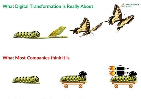 Silvia Baronio On Linkedin Digitalbusinesstransformation