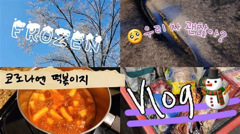 미국 브이로그 미국 코스트코 추천 트레이더조 추천제품 미국 스톰 겨울 폭풍 일상 브이로그 겨울 풍경 얼음꽃 미국 물가 미국 마트 장보기 브이로그 Youtube