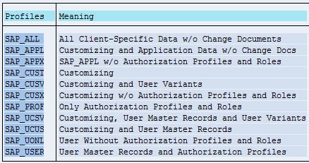 Sap Abap Central Essential Basis For Sap Abap Bw Functional Consultants Part I