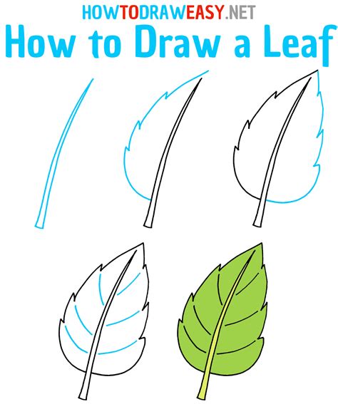 How To Draw A Leaves Step By Step