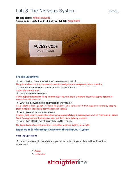 Lab 8 The Nervous System Browsegrades