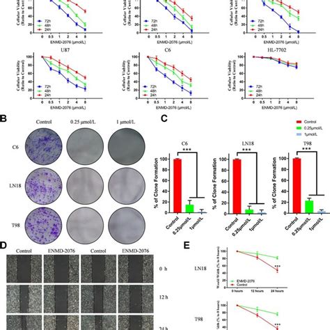 Wgcna Analysis Results A The Soft Thresholding Powers Selection Of Download Scientific