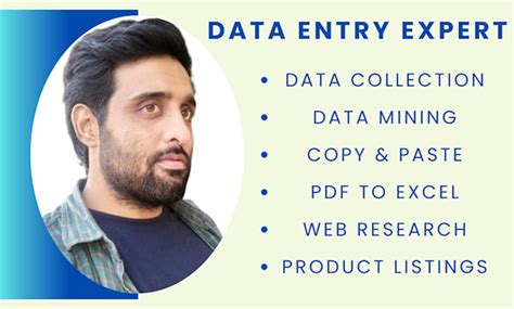 do web research data entry data extraction into excel sheet by