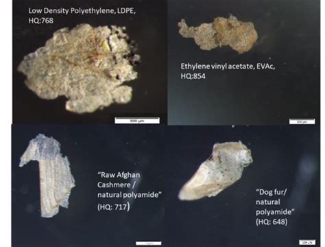 1 Particles Sorted As Potential Microplastics By Optical Microscopy
