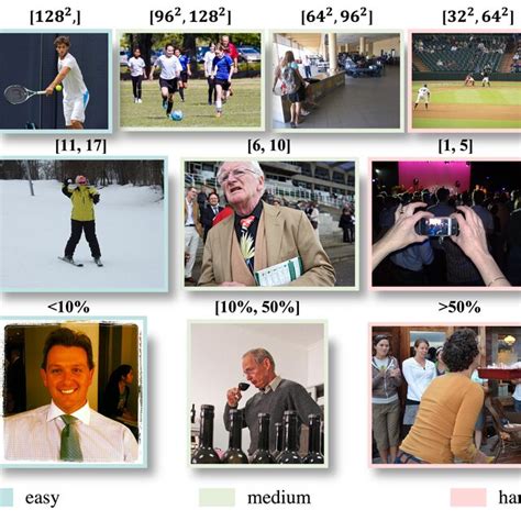 Samples From The Coco Dataset Separated By Their Input Bounding Box Download Scientific