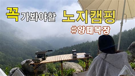 꼭 가봐야할 인생 캠핑장양떼목장에서 캠핑여기가 바로 지상낙원힐링 캠핑캠핑메뉴 보노 컵스프 Youtube