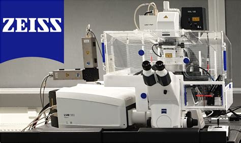 Flim Systems For Zeiss Lsm 710 780 880 980 990 Becker And Hickl