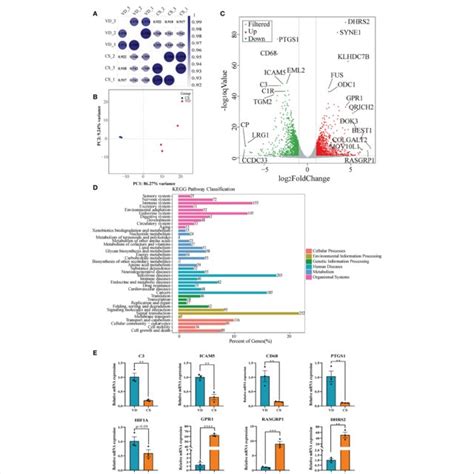 Transcriptome Analyses Of Human Intestinal Epithelial Ncm Cells Download Scientific Diagram