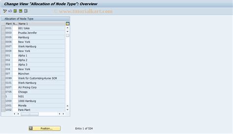 S ALR SAP Tcode IMG Activity DRP