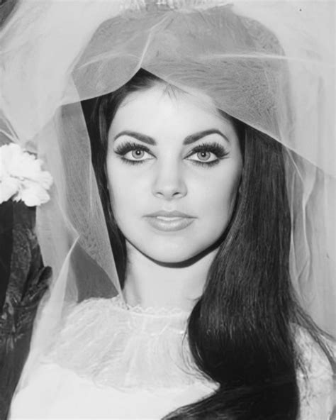 Priscilla Movie Eye Makeup Kit