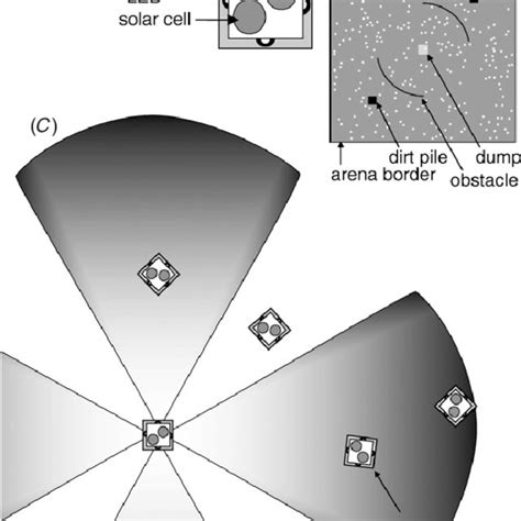 The Properties Of The Signal Oscillator The Oscillator Cycle Of Signal Download Scientific