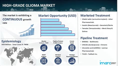 High Grade Glioma Market Size Epidemiology In Market Drugs Sales Pipeline Therapies And