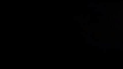 Stripper Bends The Rules For Bbc Slimthick Vic