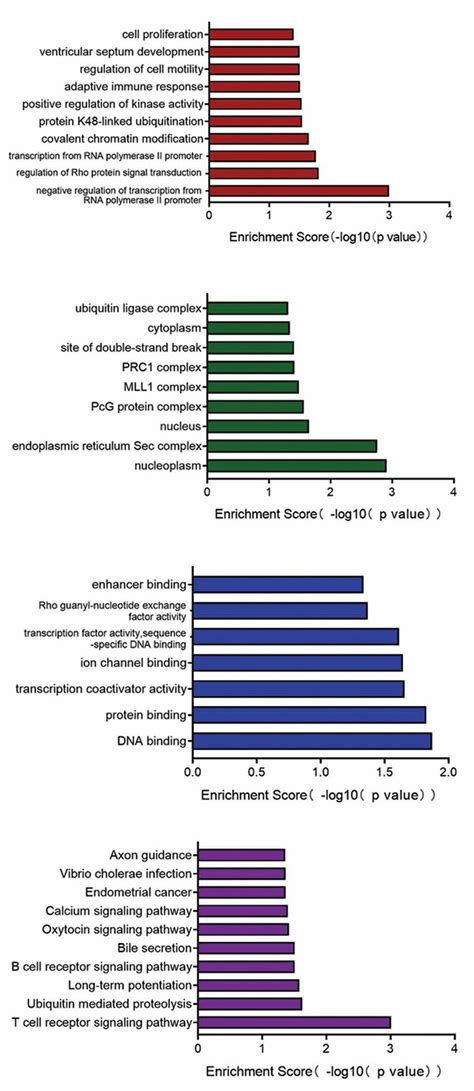The Go Pathway Enrichment Analysis Of Hsa Circ 0001583 Cernas A Top Download Scientific