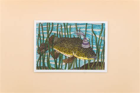 Murray Cod Sunshine Sea Art