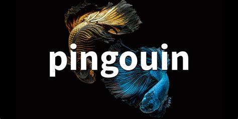 Pingouin 054 Pingouin Statistical Package For Python