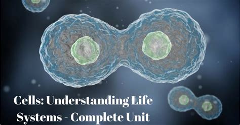 Cells Understanding Life Systems Unit PowerPoint Lessons Activities And Notes Teach With