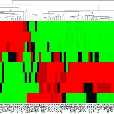 time course rna sequencing analysis and the heatmap of related genes