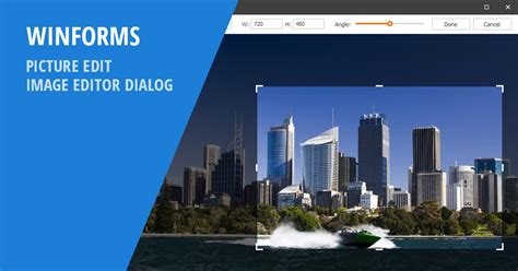 WinForms Picture Edit Image Editor Dialog V