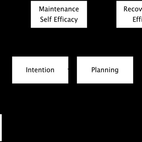 The Health Action Process Approach Hapa Adapted From Chow S Download Scientific Diagram
