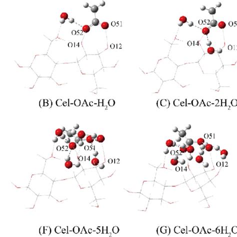 Optimized Structures A−g For Cellobiose Oac Nh 2 O N 0−6
