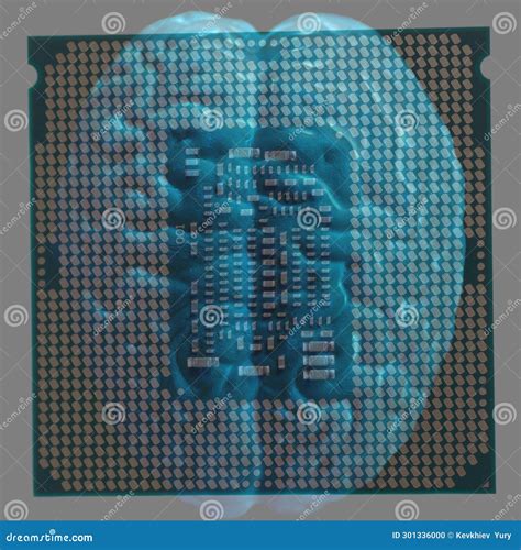 Human Brain Anatomical Model With Cpu Processor Microchip Stock Photo Image Of Medical