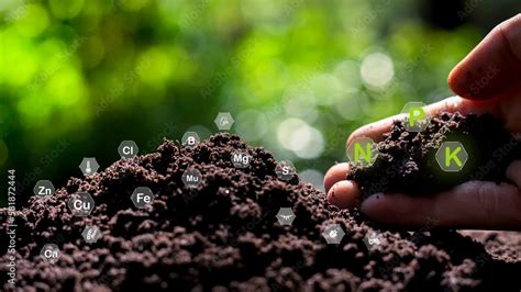 Monitor Soil Quality To Control Soil Quality Soil Composition Concept