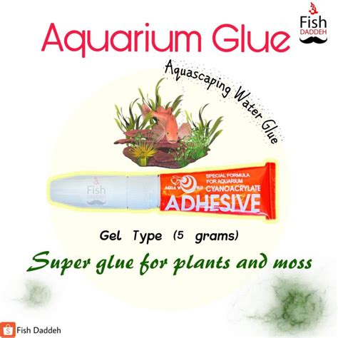 Aquarium Plant Glue Adhesive Gel Aquascaping Cyanoacrylate 5g Lazada Ph