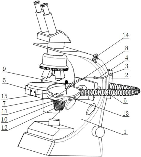 Biological Microscope Structure For Plant Quarantine Eureka Patsnap