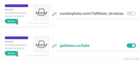 Lasso Deal Jan 2026 · 100 Working