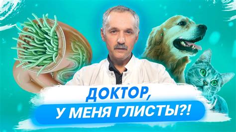 Глисты. Кто входит в группу риска? Как избавиться от глистов? / Доктор ...
