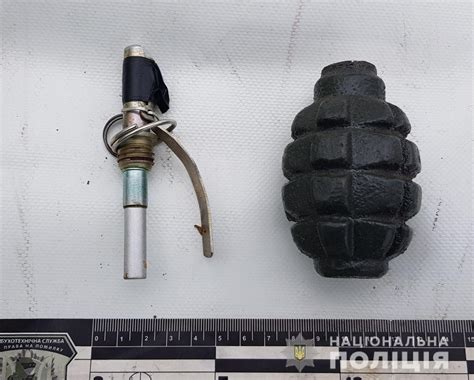 В селе Вознесенка, под Мелитополем, мужчина с гранатой в руках охранял ...