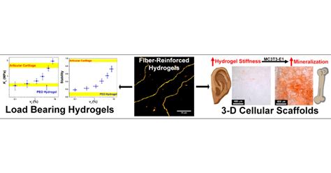 In Situ Fabrication Of Fiber Reinforced Three Dimensional Hydrogel