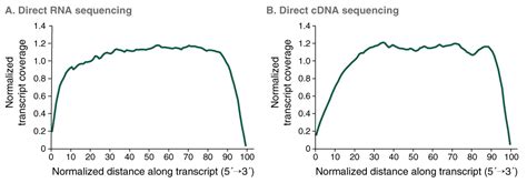 Nebnext® High Input Poly A Mrna Isolation Module Neb