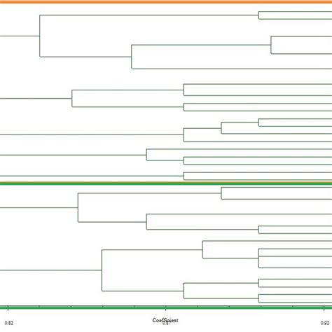 Similarity Tree Based On Morphological Features Of Maternal Strain Id23