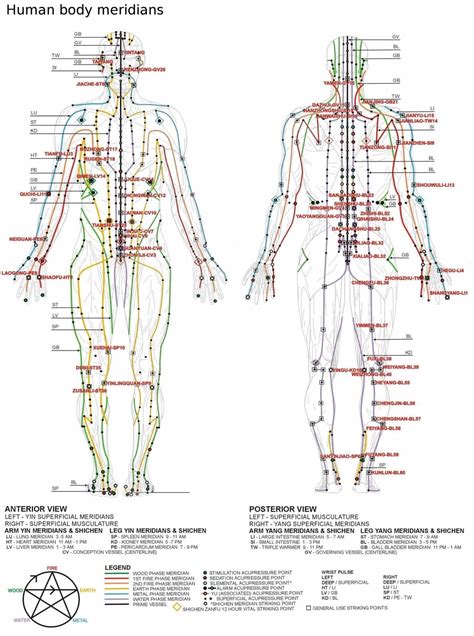 8 Pressure Points Chart Ideas To Save Today Pressure Points Pressure