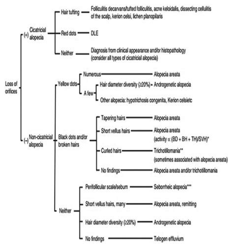 algorithmic method for trichoscopic diagnosis of common hair loss