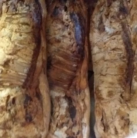 რაჭული ლორი