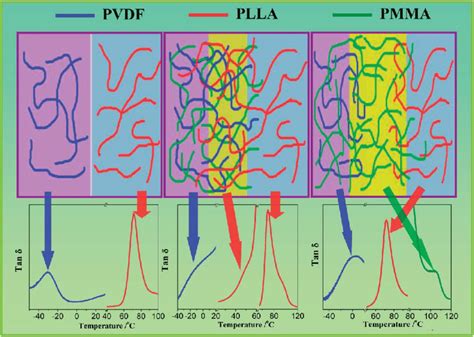 Schematic Representations Showing The Interactions Between Components Download Scientific